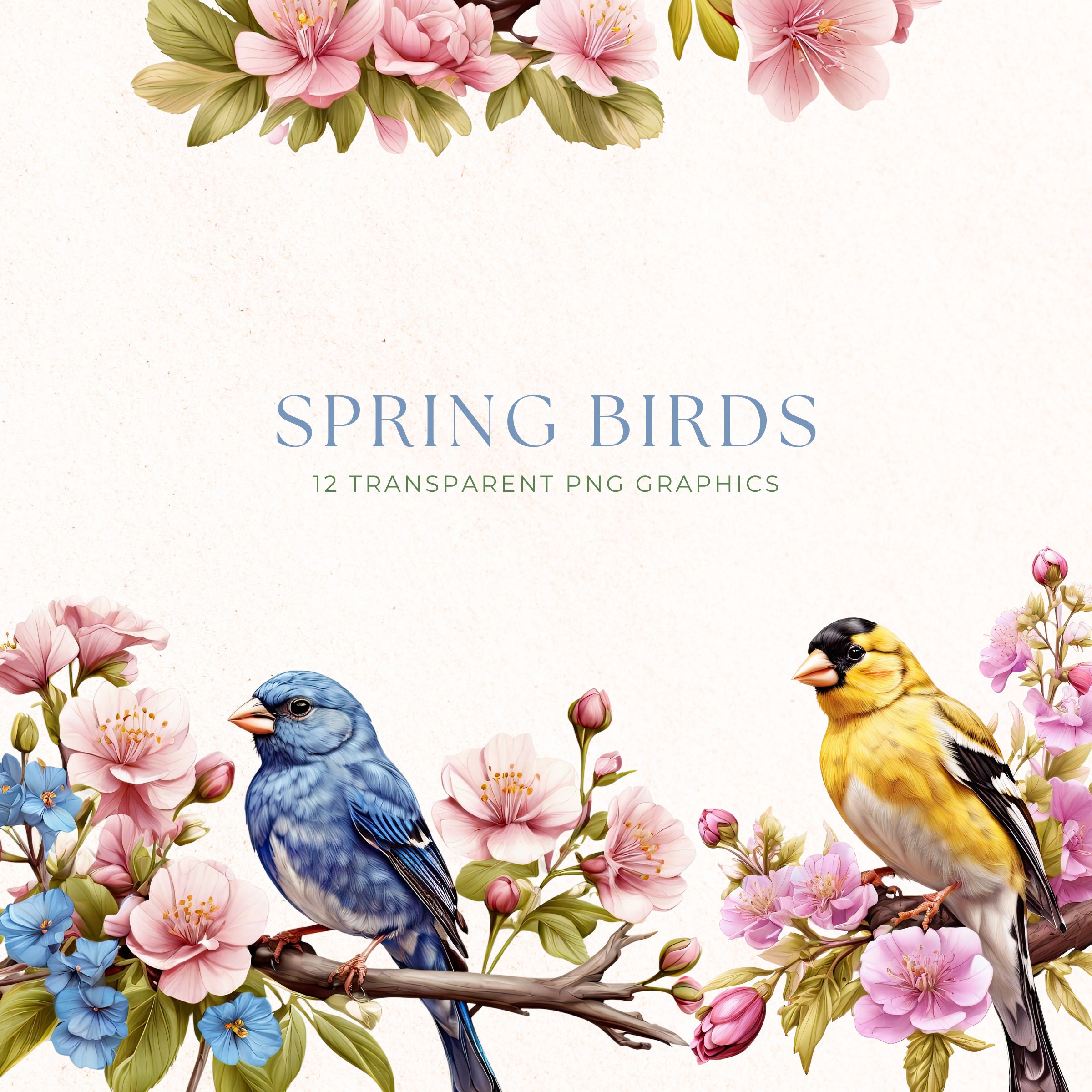 Spring Birds Clipart, Bird Clip Art, Digital Download, Instant Download ...