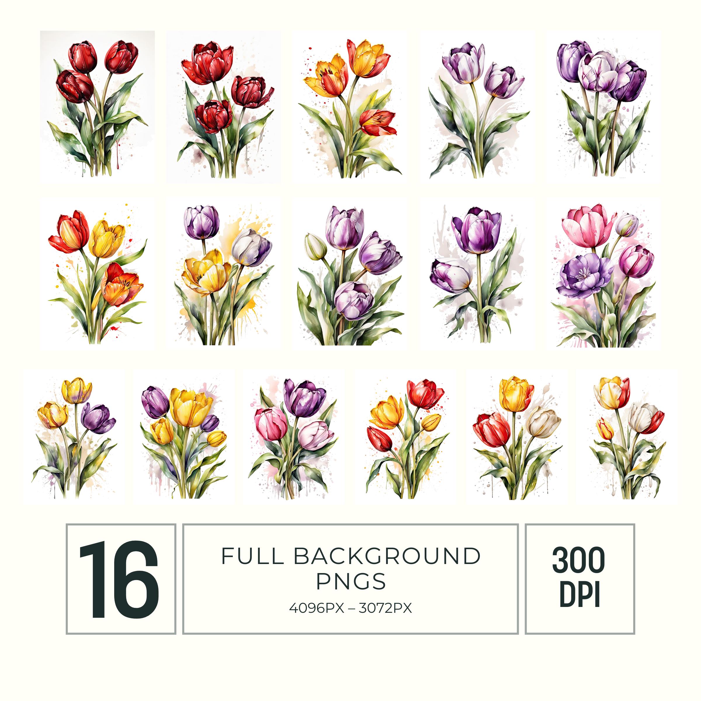 Mixed Tulips Clipart, Spring Flower Clip Art, Instant Download ...