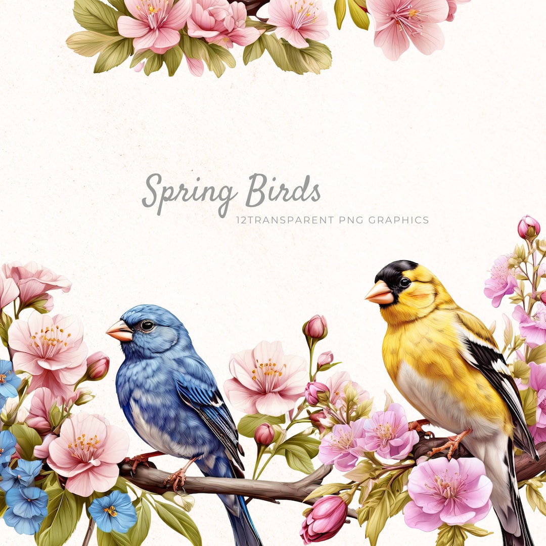 Spring Birds Clipart, Bird Clip Art, Digital Download, Instant Download ...