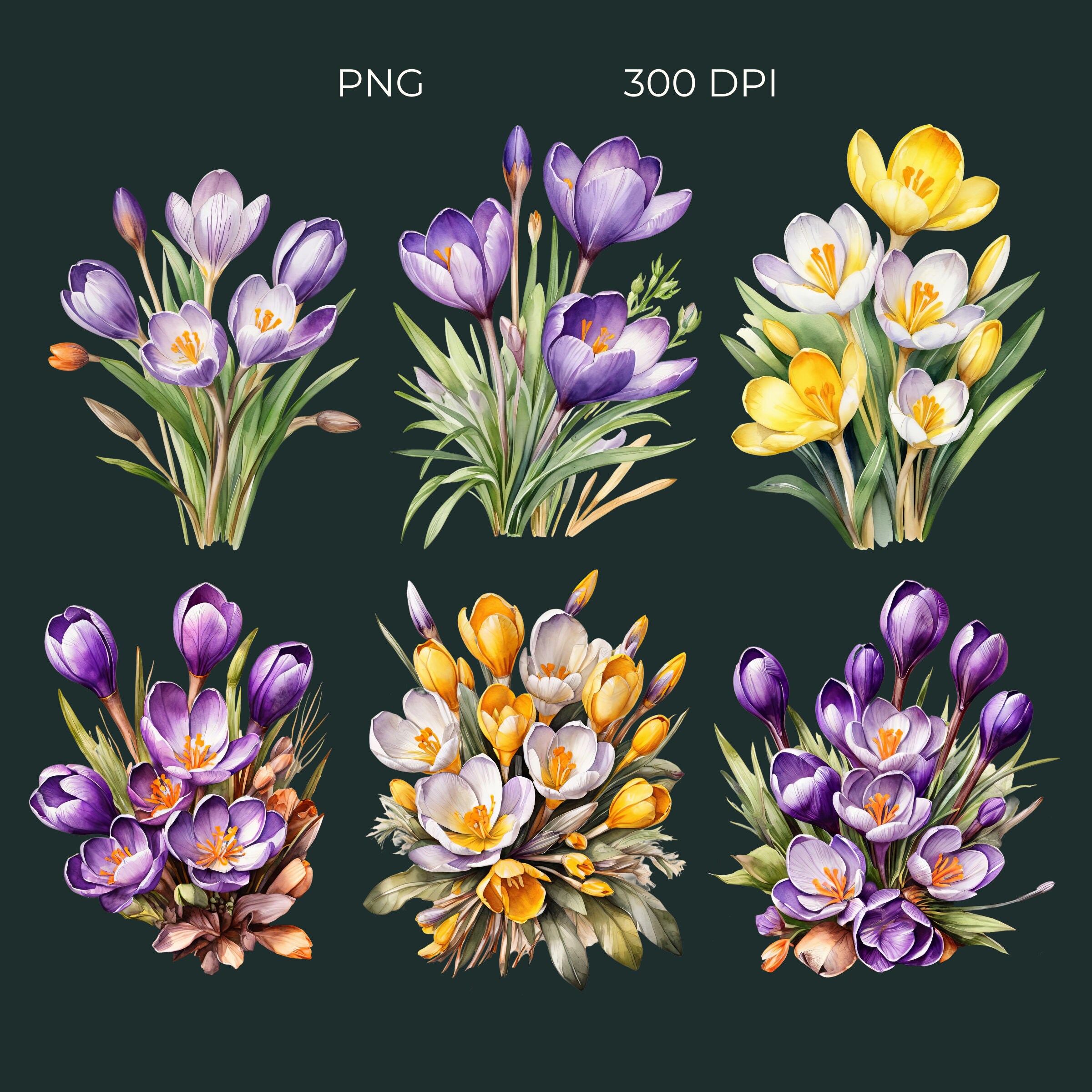 Spring Bouquet Clipart, Crocus and Daffodils Flowers, Yellow Crocuses ...