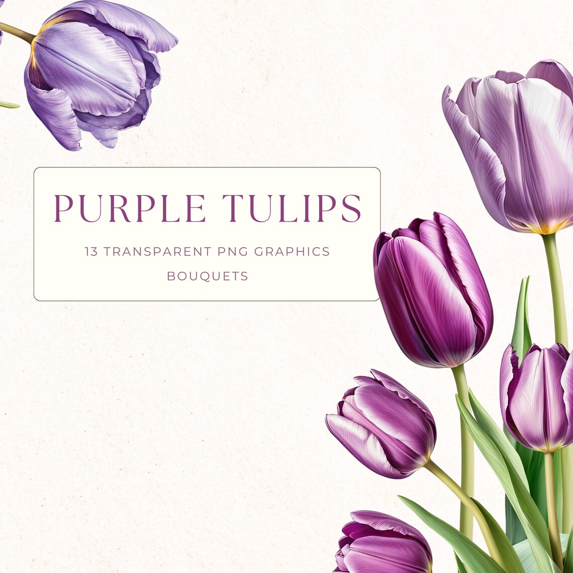 Purple Tulips Clipart, Watercolor Floral Design, Spring Flower Clip Art ...