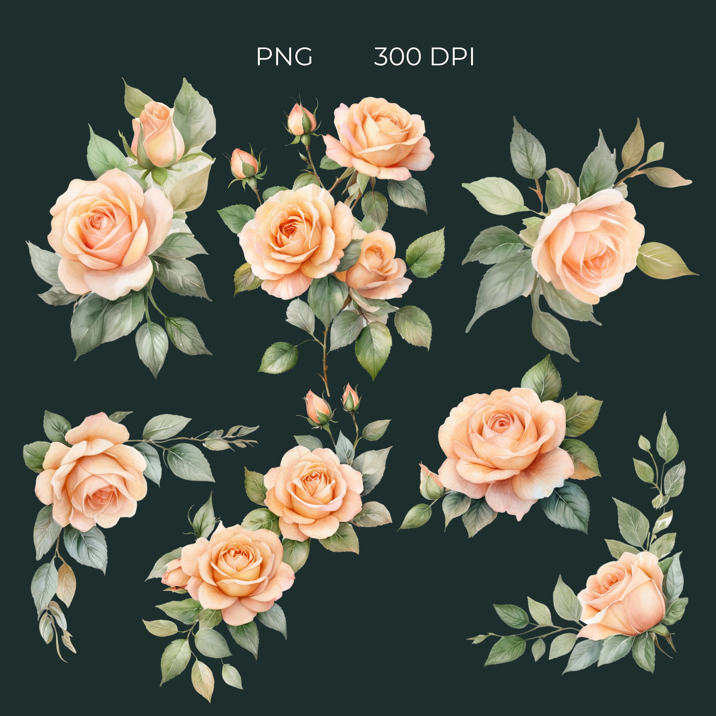 Peach Fuzz Roses Clipart, Flower Border Digital Download, Scrapbooking ...