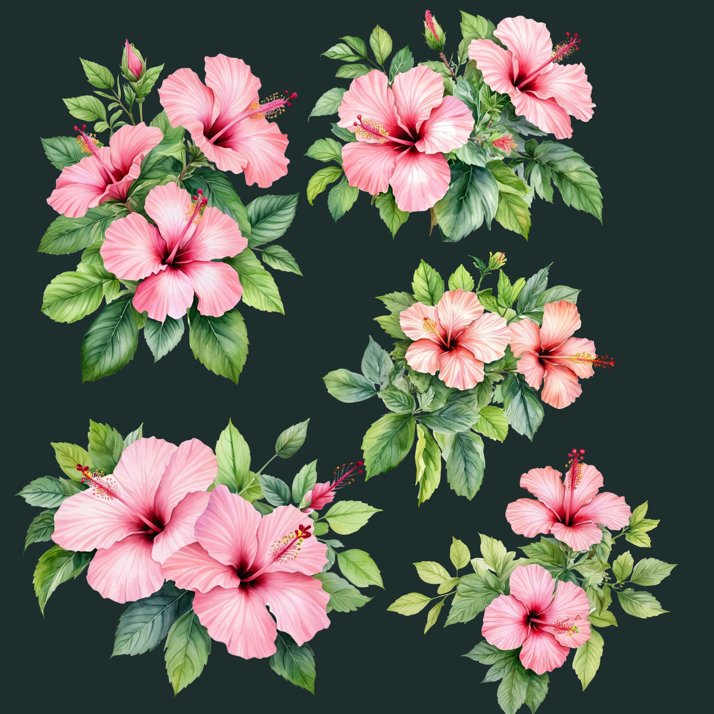 Watercolor Pink Hibiscus Graphics, Tropical Floral Clipart Set, Instant ...