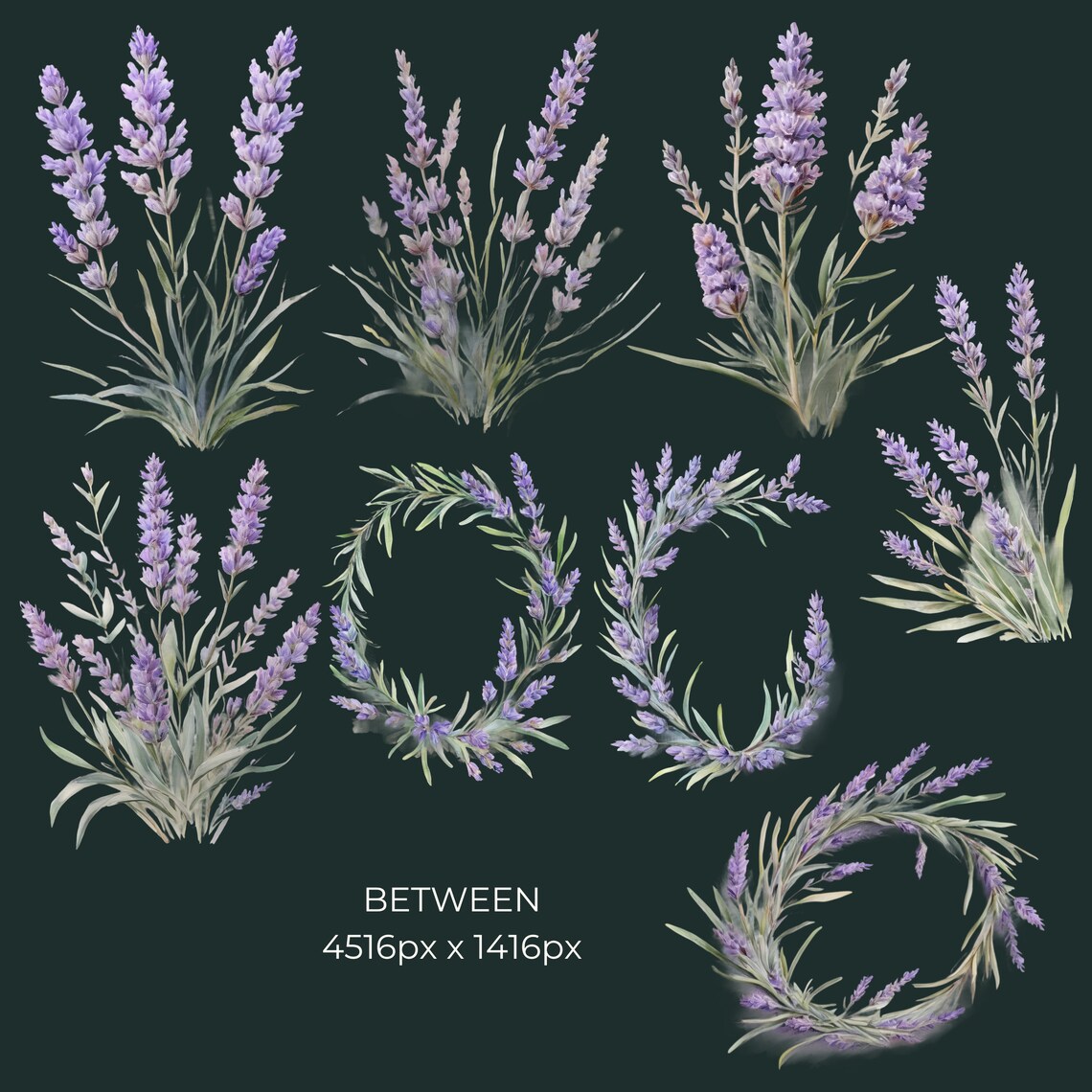 Watercolor Lavender Clipart Set, Purple Floral Graphics, Instant ...
