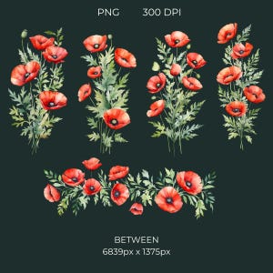 Watercolor Poppy Clipart Set, Floral PNG Images, Scrapbook Supply ...