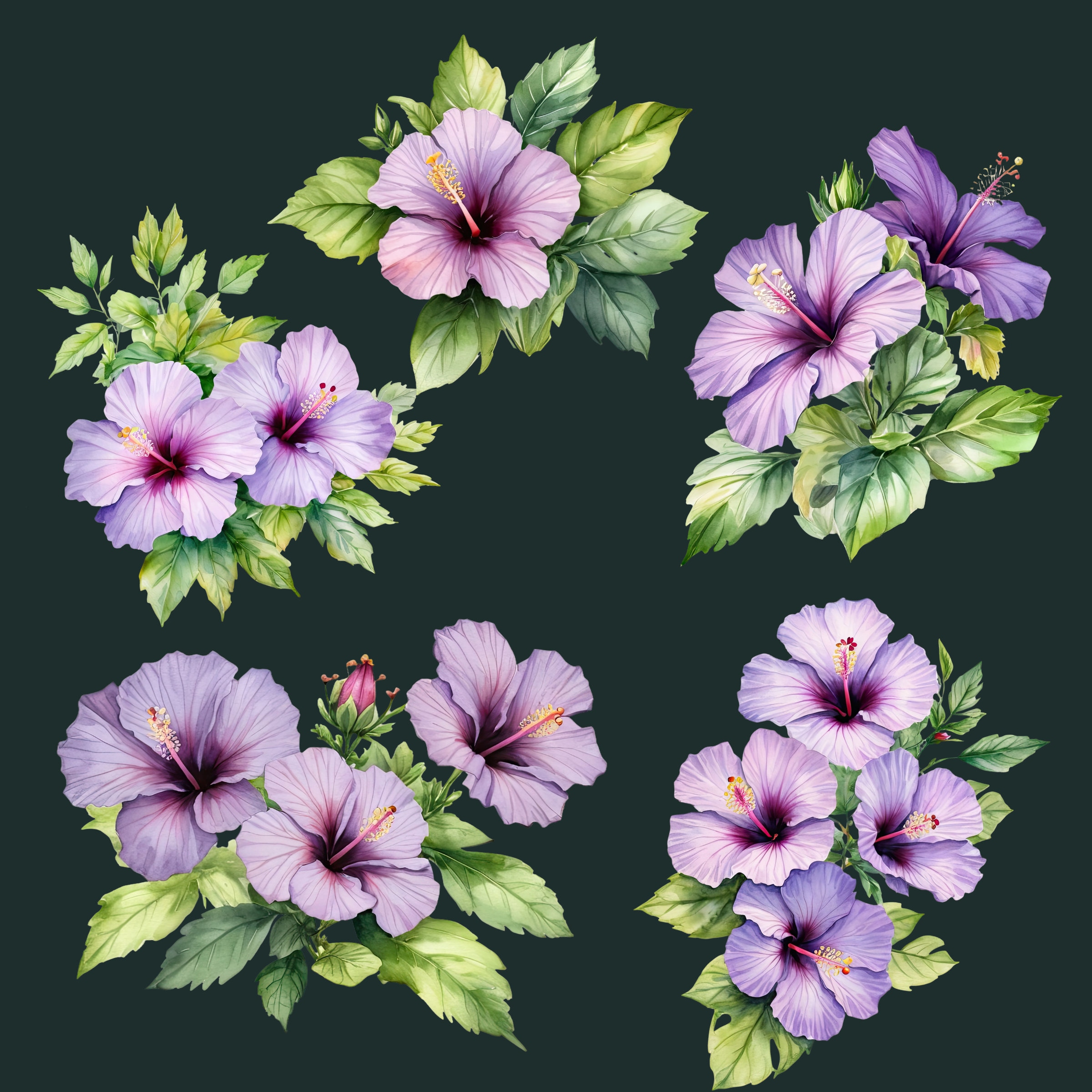 Purple Hibiscus Flower Clipart Instant Download, Tropical Floral ...