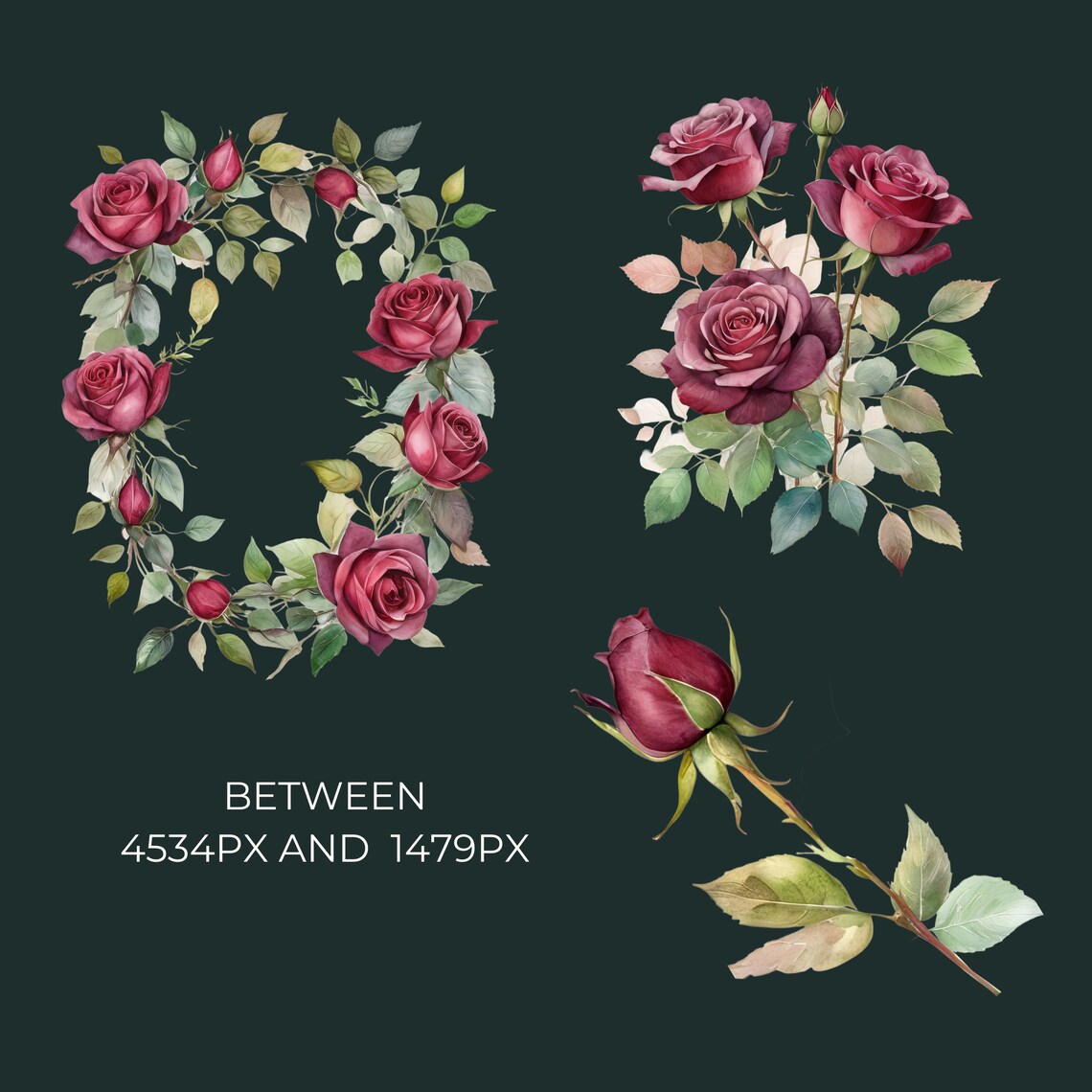 Vintage Burgundy Roses Clipart, Flower Border Digital Download ...