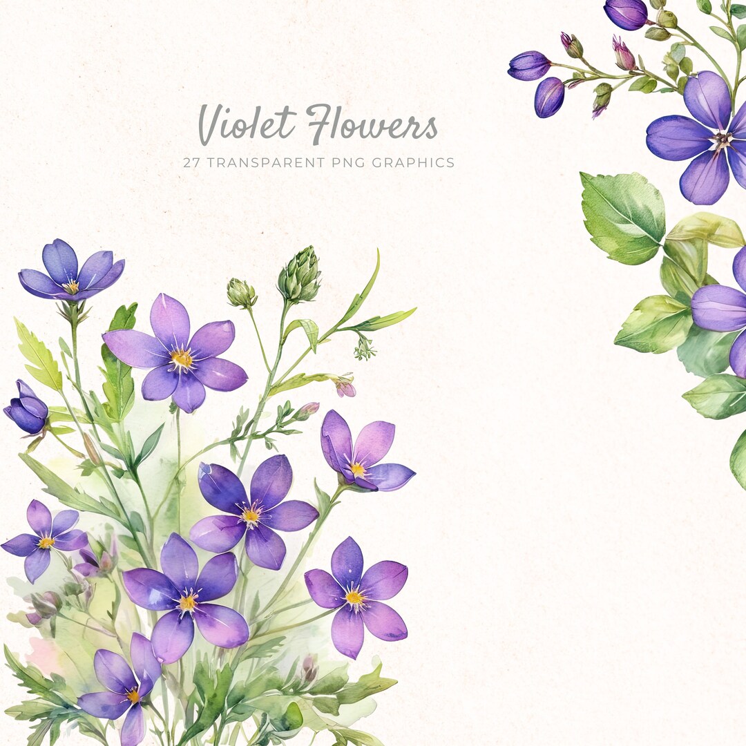 Violet Flower Clipart Digital Download PNG, Purple Flowers, February ...
