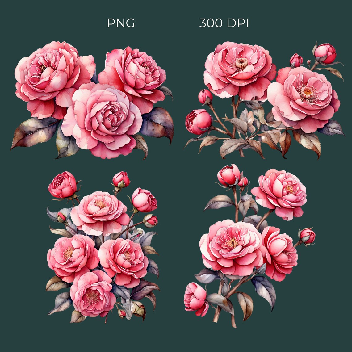 Camellia Flower Clip Art, Pink Floral Botanical Images, Scrapbooking ...