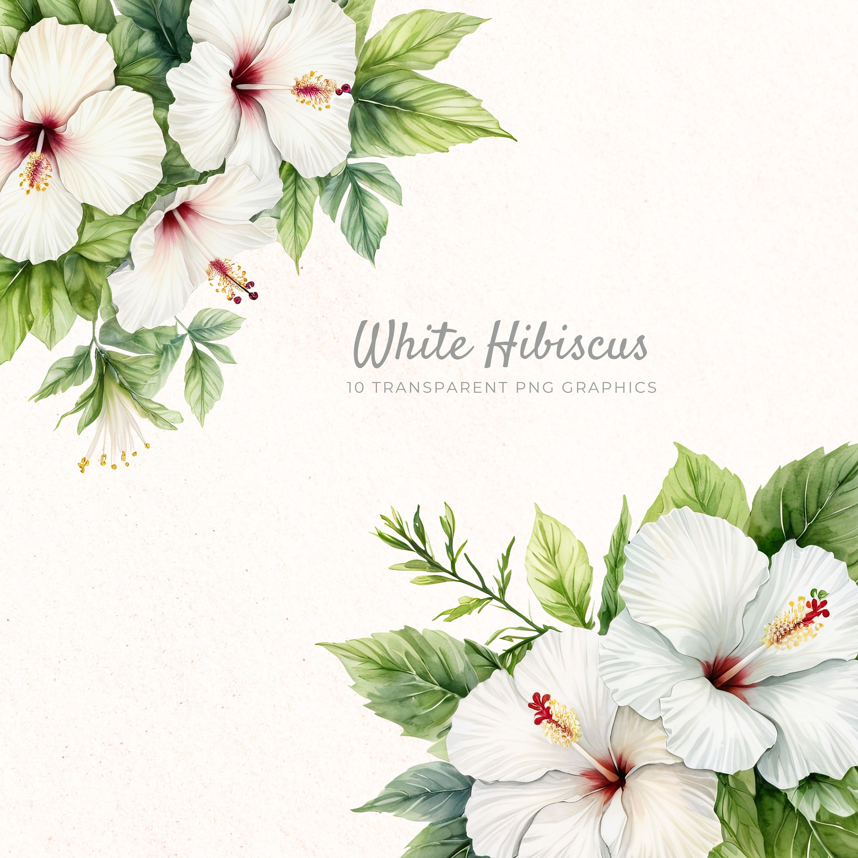 Hawaiian Hibiscus Clipart Set, Watercolor Floral Illustrations, Instant ...