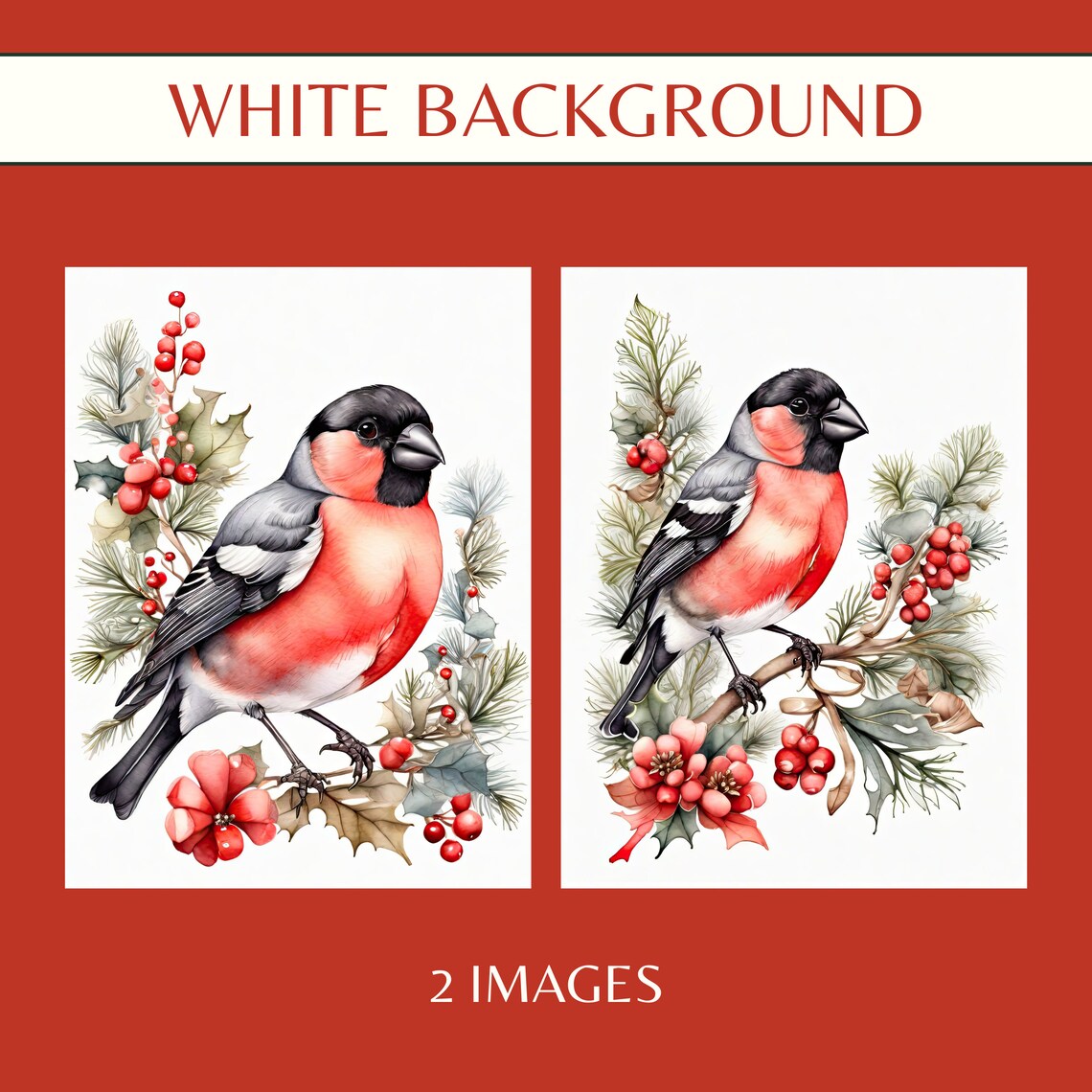 Winter Bird Clipart Christmas Bullfinch Birds Clip Art - Etsy