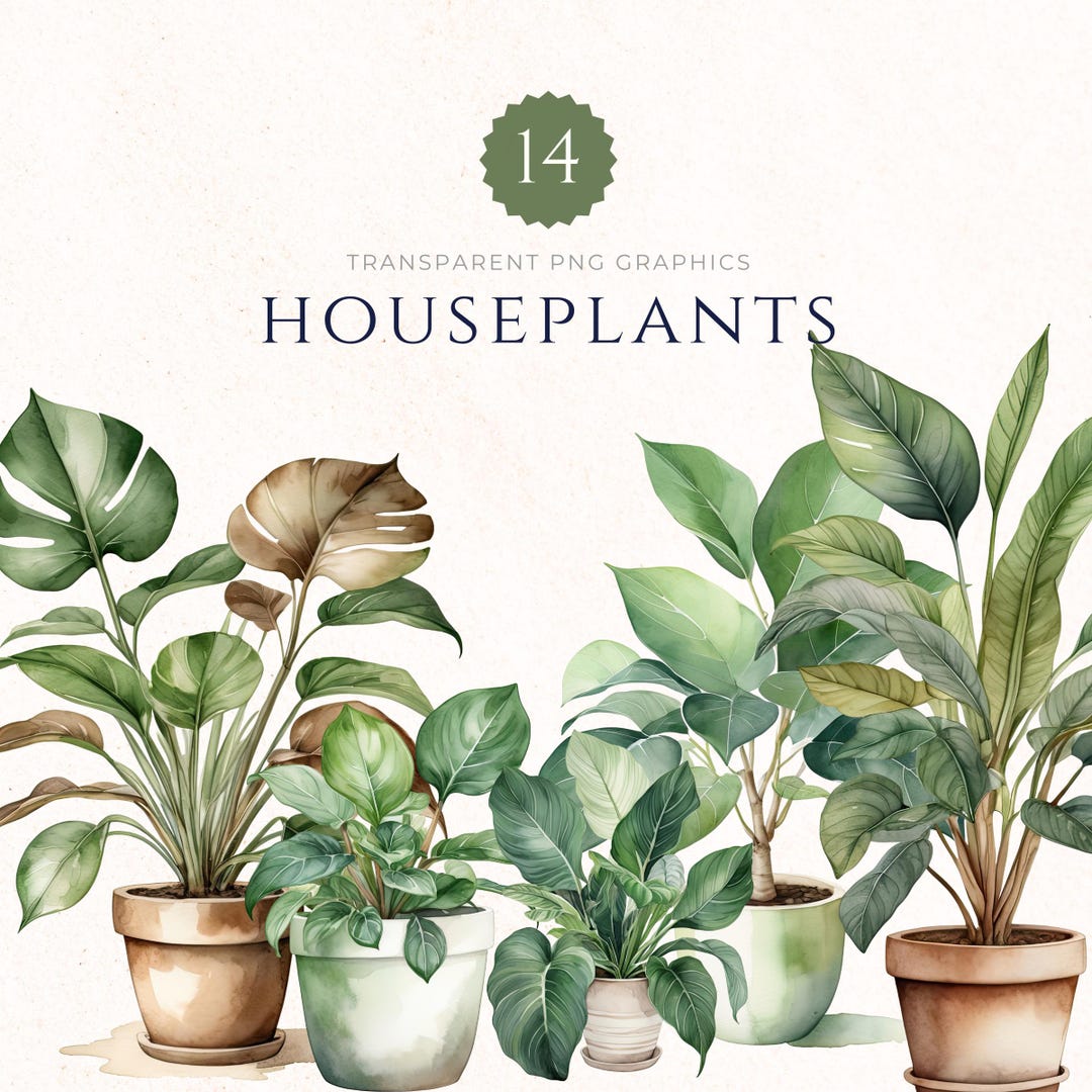 Watercolor Houseplant Clipart PNG, Paper Crafting Supply, Potted Plants ...