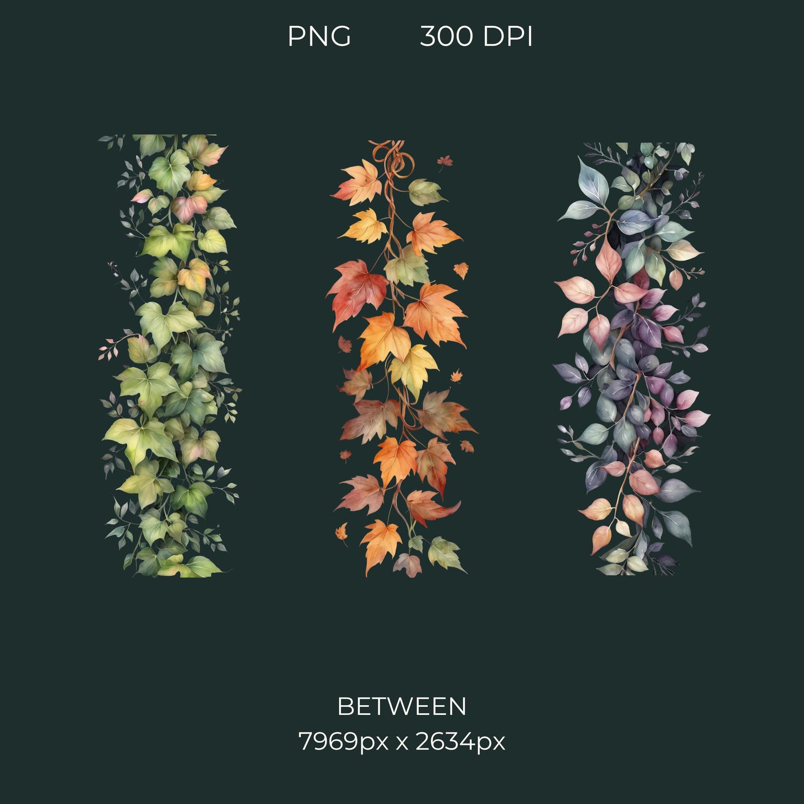 Mixed Foliage Vine Clipart Set, Paper Craft Borders, Leaf Border ...