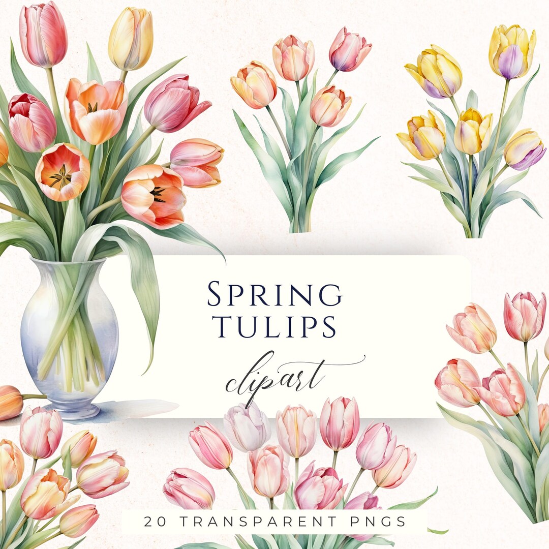Spring Tulip Watercolor Clipart PNG, Seasonal Floral Graphics for ...