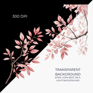 Pink Tree Branch Clipart, Watercolor Branches Graphics, Commercial Use ...