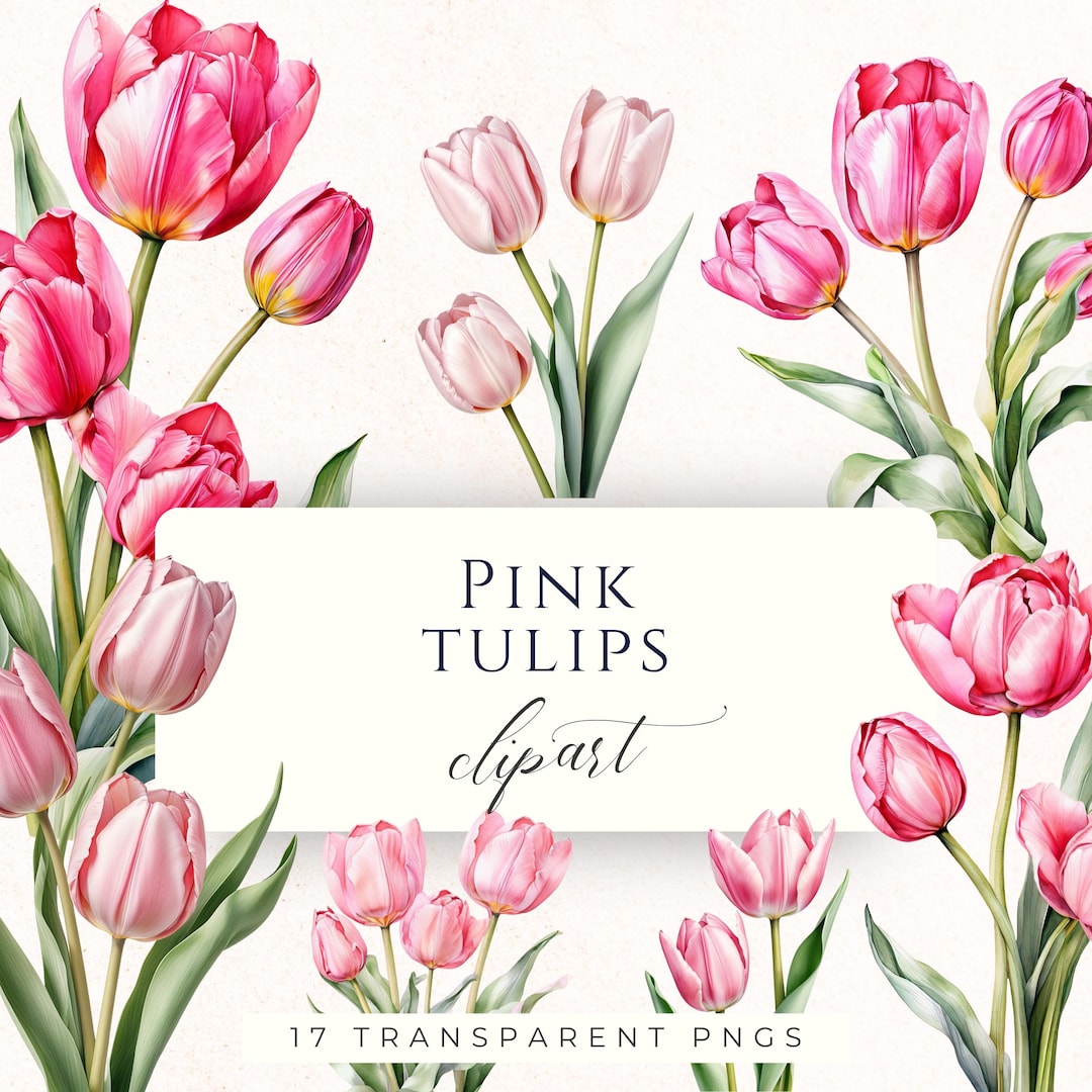 Pink Tulip Watercolor Clipart PNG, Spring Flower Bouquet Graphics for ...