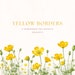 Buttercup Flower Border Clipart, Yellow Floral Border PNG, Instant ...