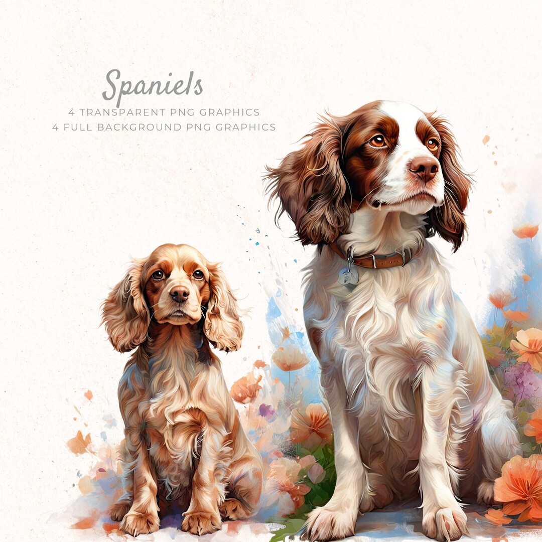 Watercolor Spaniel Clipart Instant Download, Dog Graphics for ...