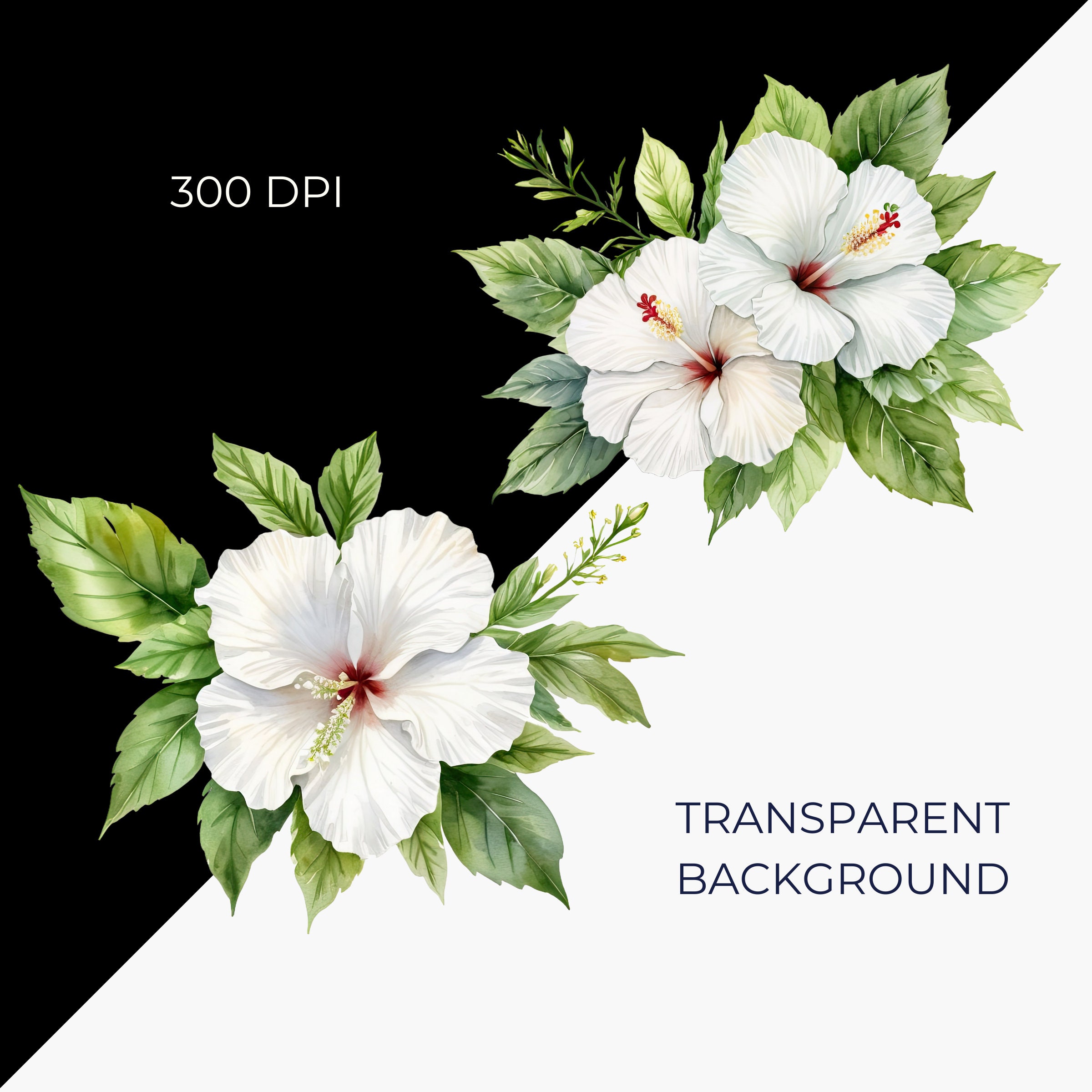 Hawaiian Hibiscus Clipart Set, Watercolor Floral Illustrations, Instant ...