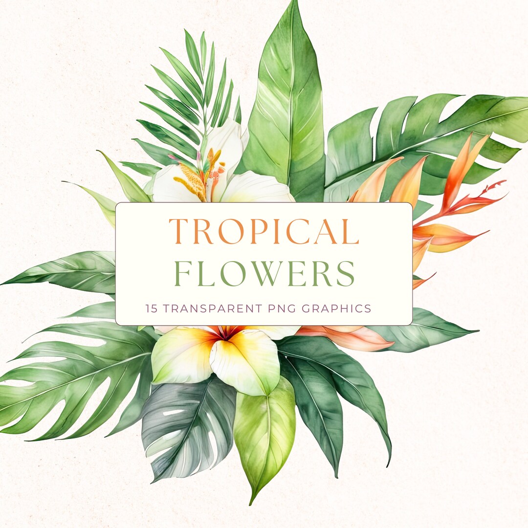 Watercolor Tropical Flowers Clipart, Instant Download, Summer Floral ...