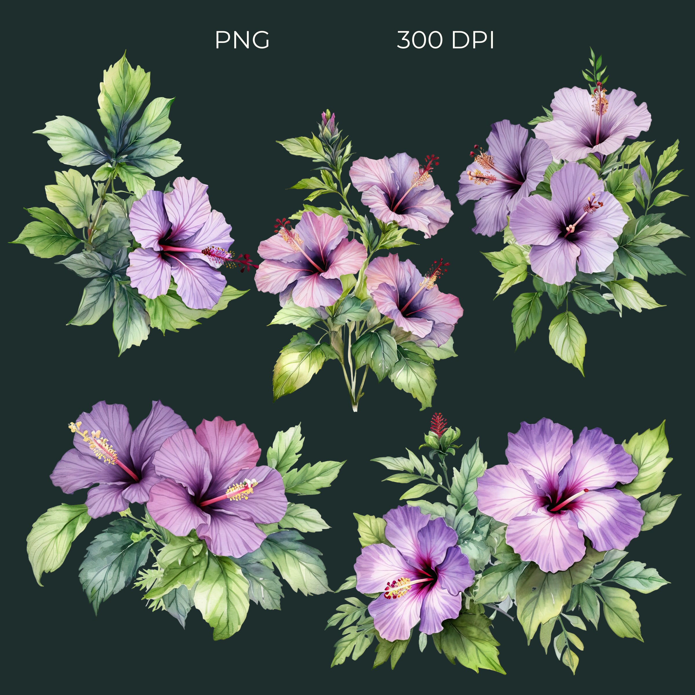 Purple Hibiscus Flower Clipart Instant Download, Tropical Floral ...