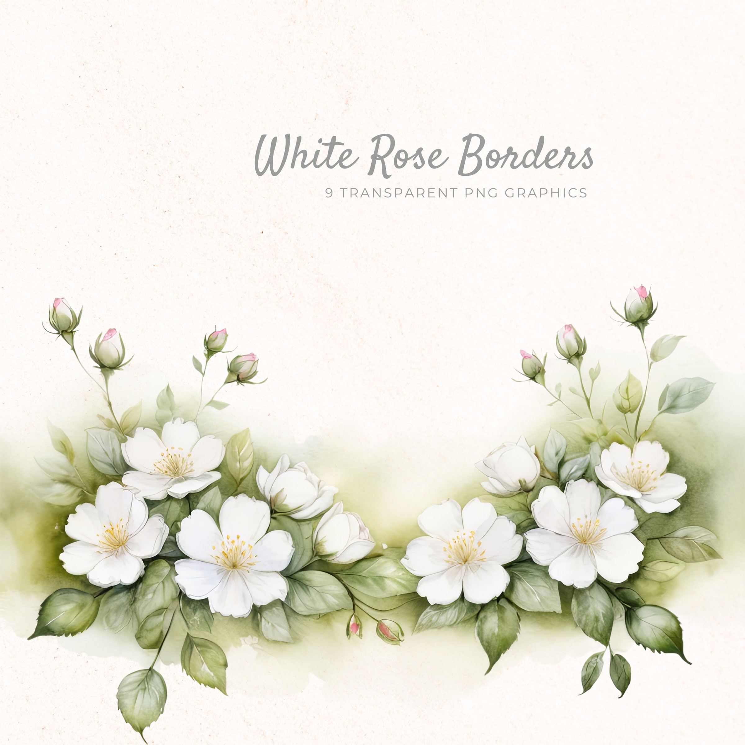 White Rose Border Clipart, Watercolor Floral Borders, Instant Download ...