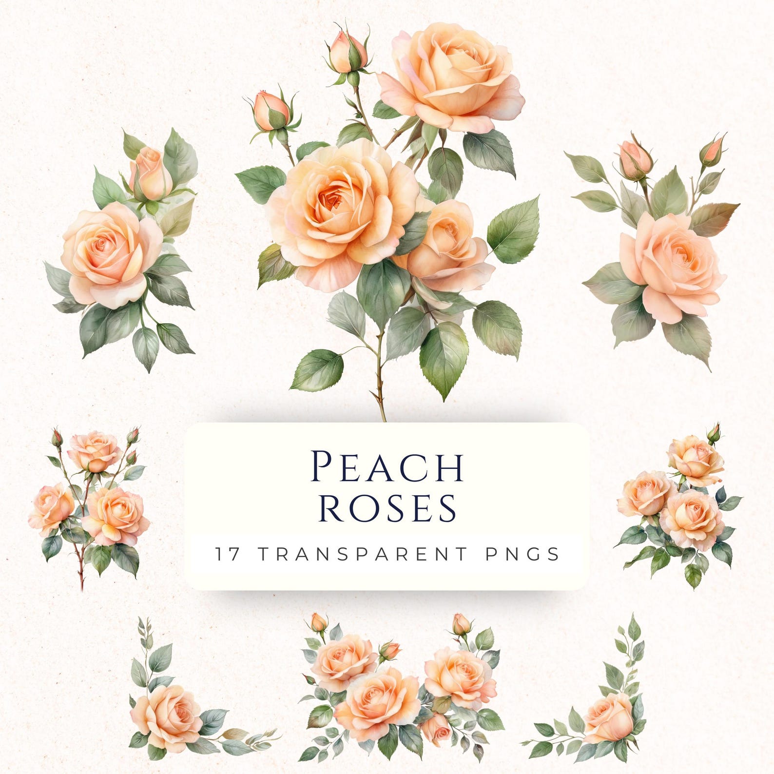 Peach Fuzz Roses Clipart, Flower Border Digital Download, Scrapbooking ...