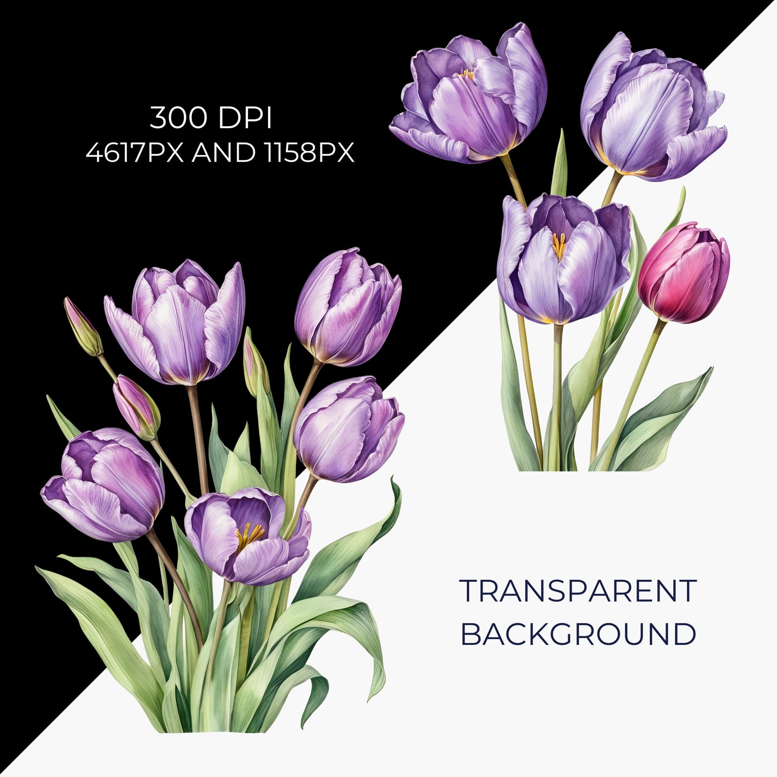 Colorful Spring Tulip Clip Art Bundle, Watercolor Flower Illustration ...