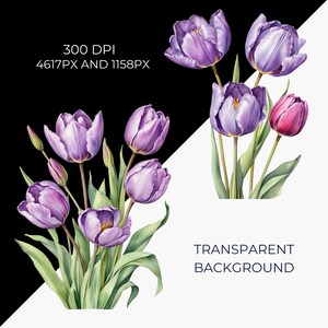 Colorful Spring Tulip Clip Art Bundle, Watercolor Flower Illustration ...
