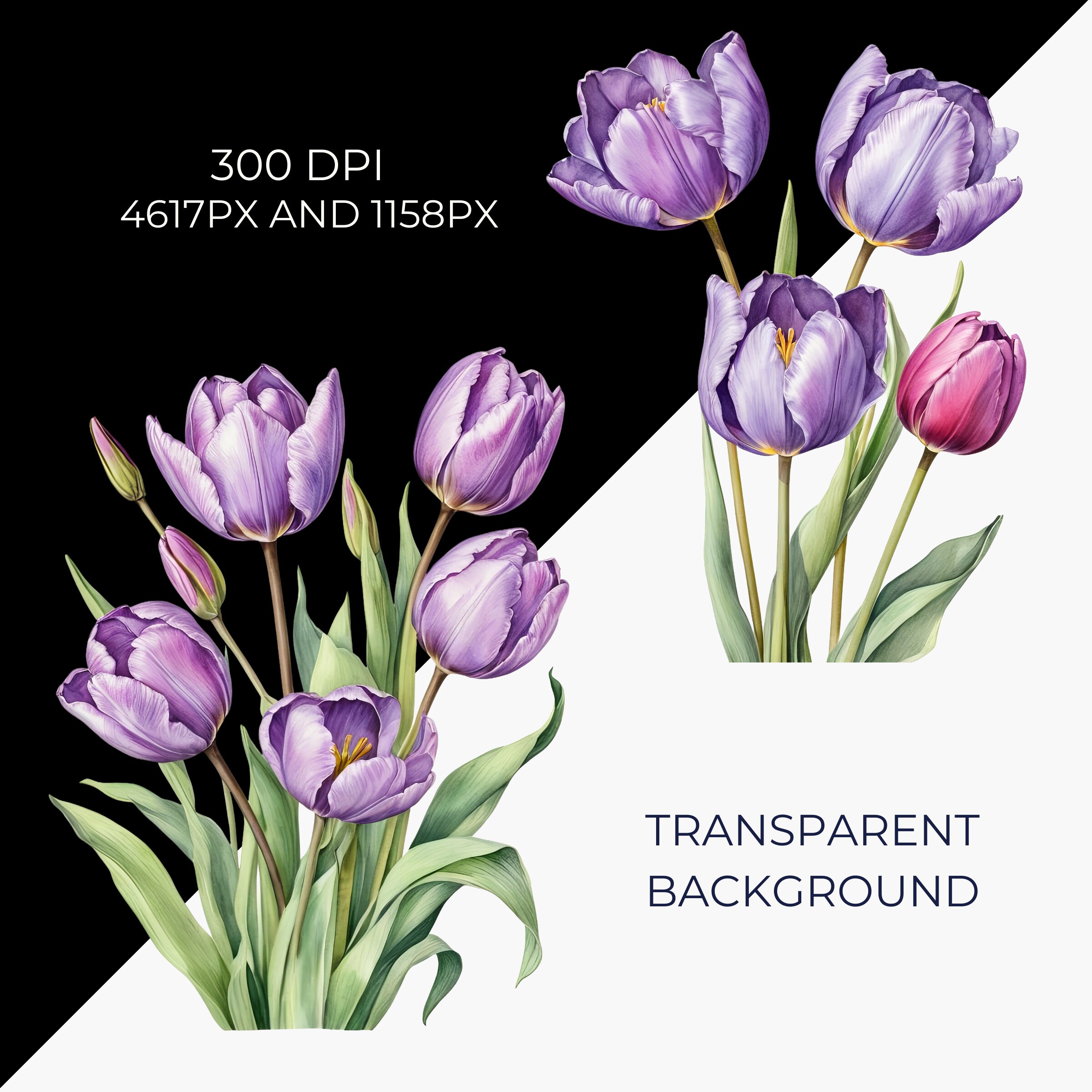 Colorful Spring Tulip Clip Art Bundle, Watercolor Flower Illustration ...