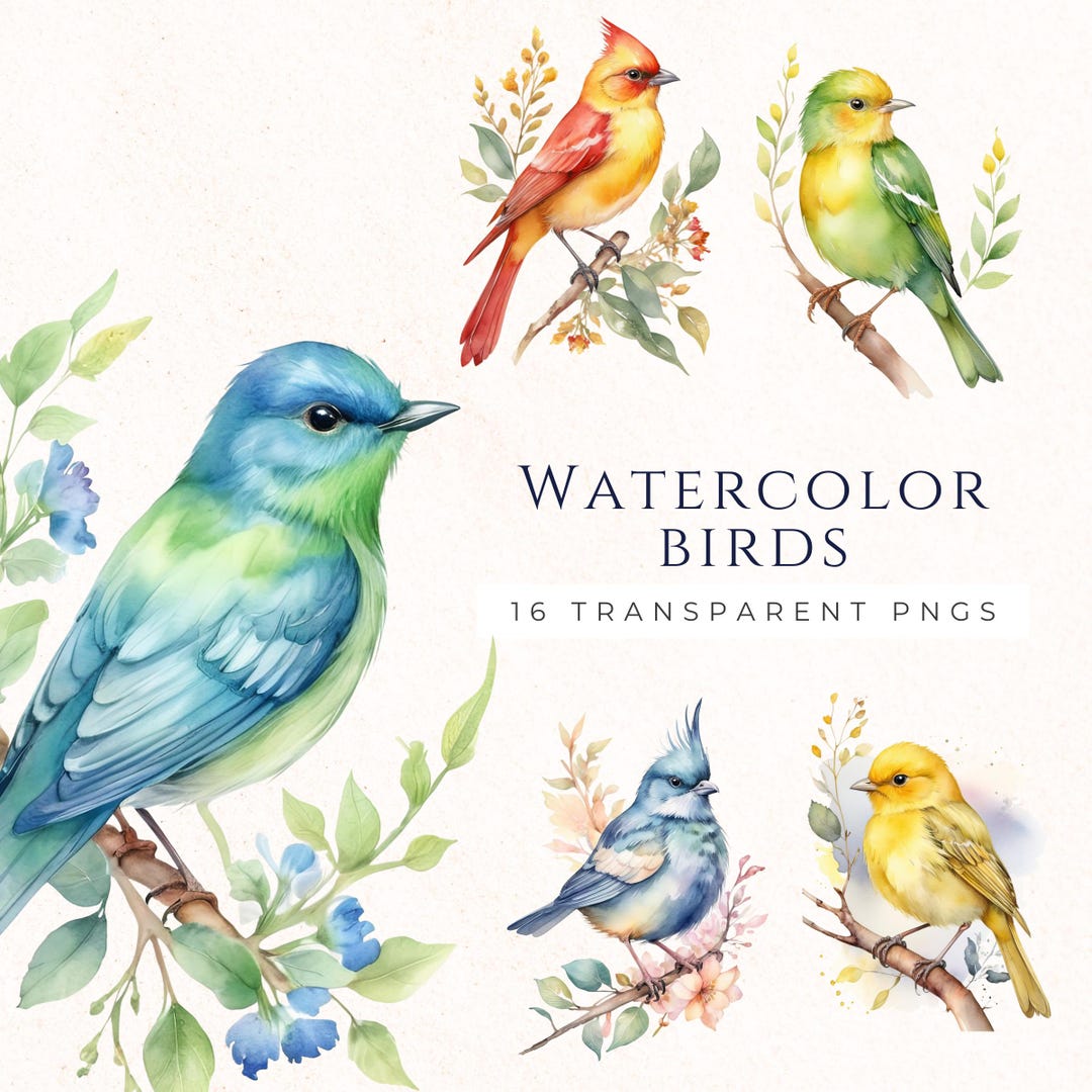 Watercolor Bird Clipart Set, Woodland Animals Graphics, Instant ...
