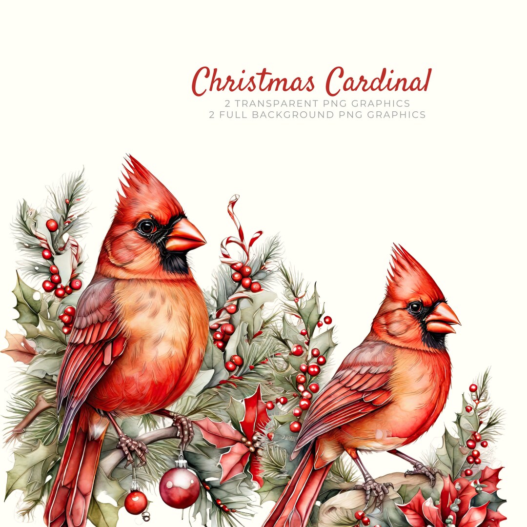 Cardinal Clipart Set, Red Cardinal Bird Prints, Christmas Decoration ...