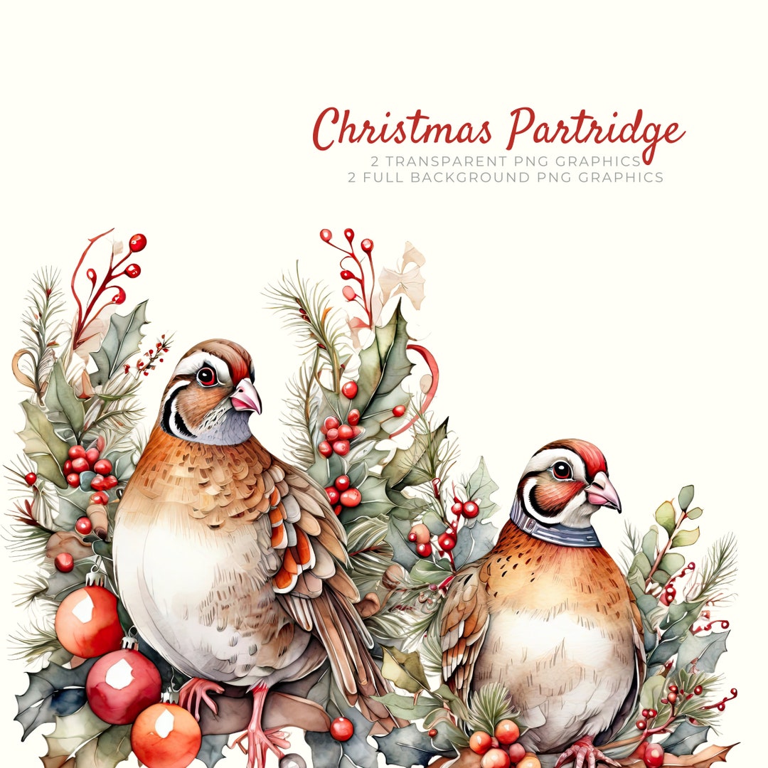 Christmas Partridge Clipart, Instant Download Png, Cardmaking Supply ...