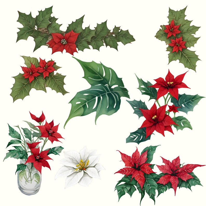 Poinsettia Clipart, Christmas Flower Decoration, Floral Winter Clip Art ...
