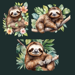 Watercolor Sloth Clipart PNG, Cute Animal Art, Floral Wildlife Decor ...