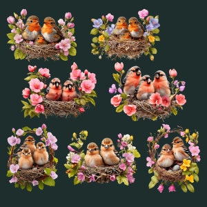 Spring Birds Clipart, Baby Bird Clip Art, Digital Download, Spring ...