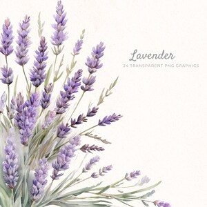 Watercolor Lavender Clipart Set, Purple Floral Graphics, Instant ...