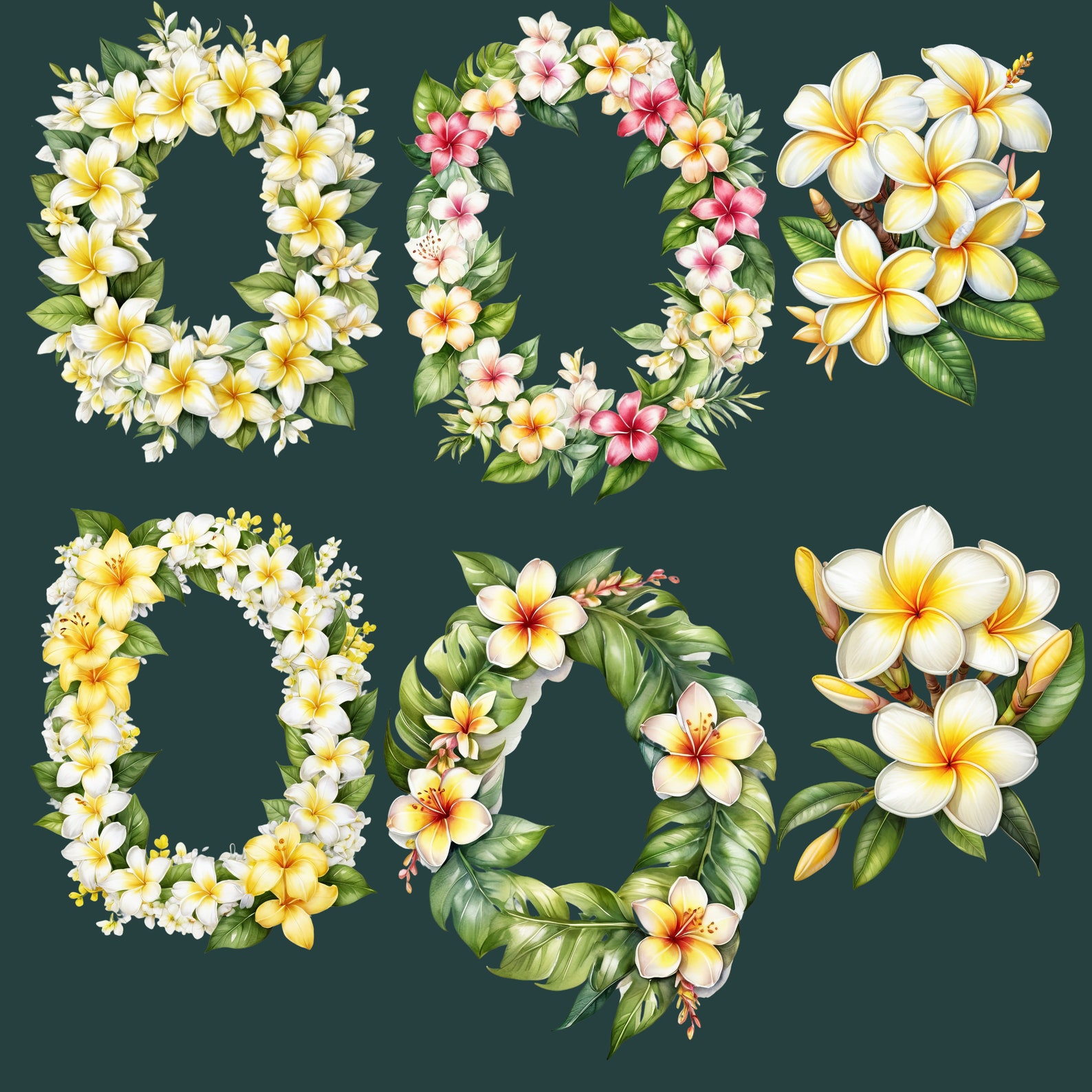 Tropical Plumeria Frangipani Clipart Pack, Hawaiian Flower Graphics ...