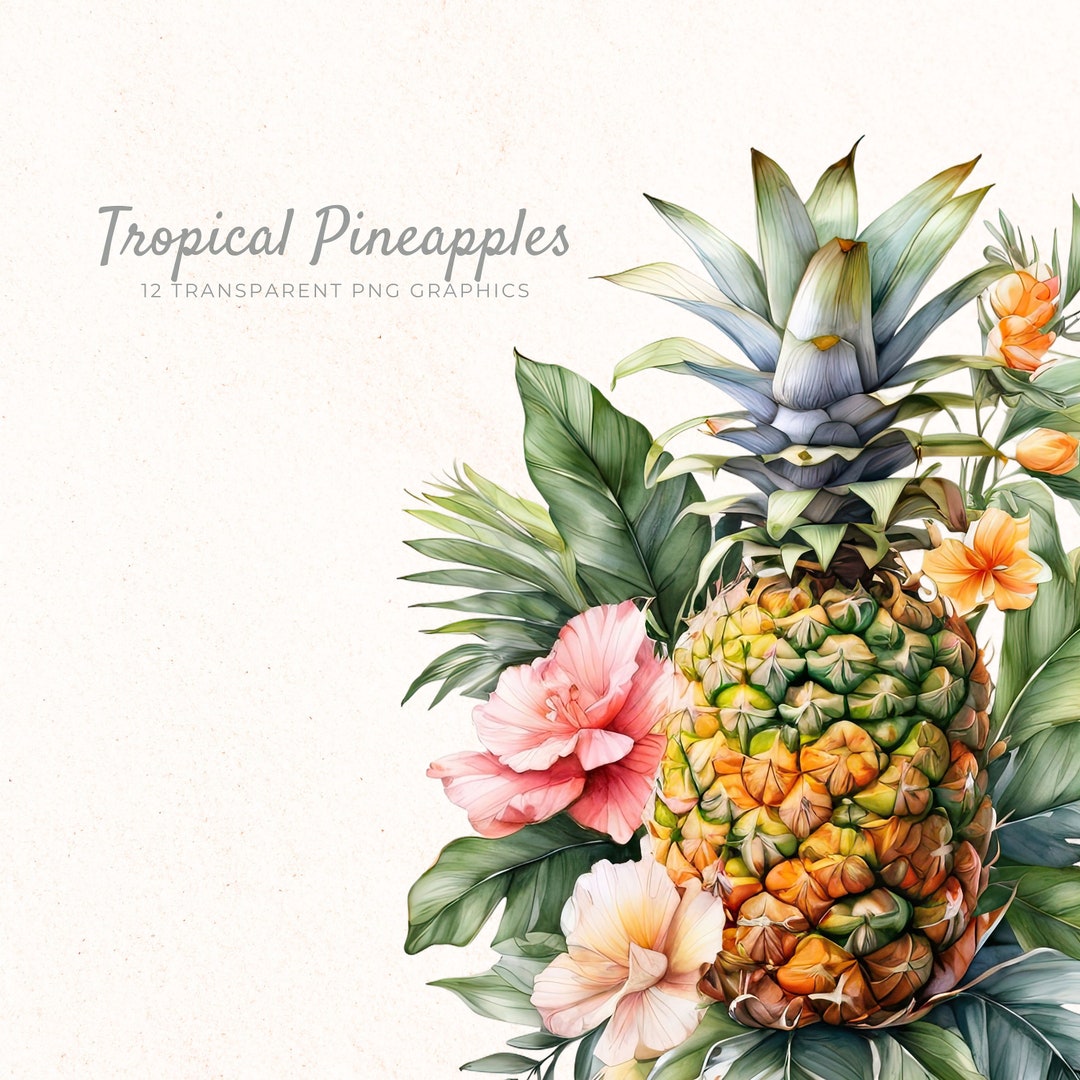 Colorful Pineapple Clipart, Tropical Clip Art, Fruit PNG, Summer Vibes ...