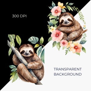 Watercolor Sloth Clipart PNG, Cute Animal Art, Floral Wildlife Decor ...