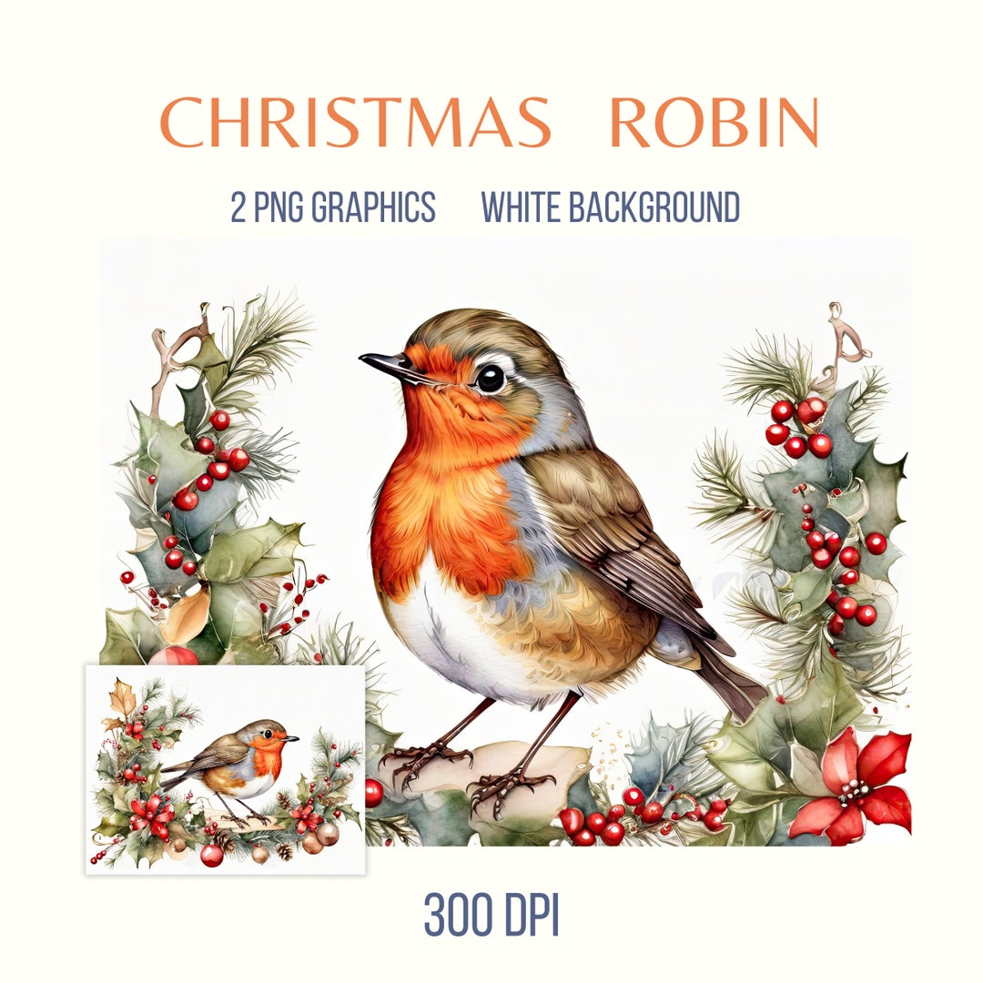 Robin Christmas Clipart, Bird Art PNG, Holiday Decoration, Wildlife ...