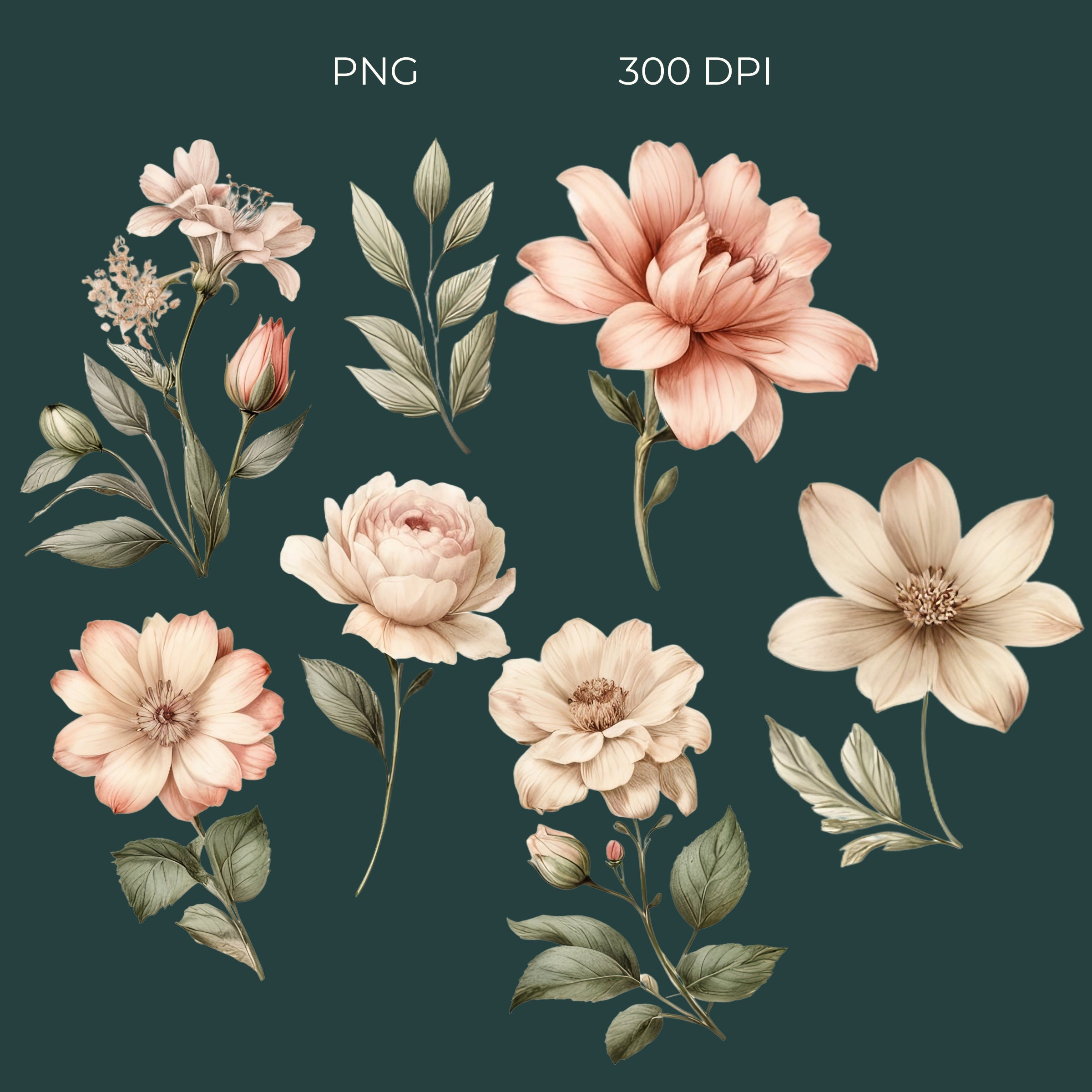 Vintage Style Flowers Clipart, Shabby Chic Decor, Retro Clipart ...