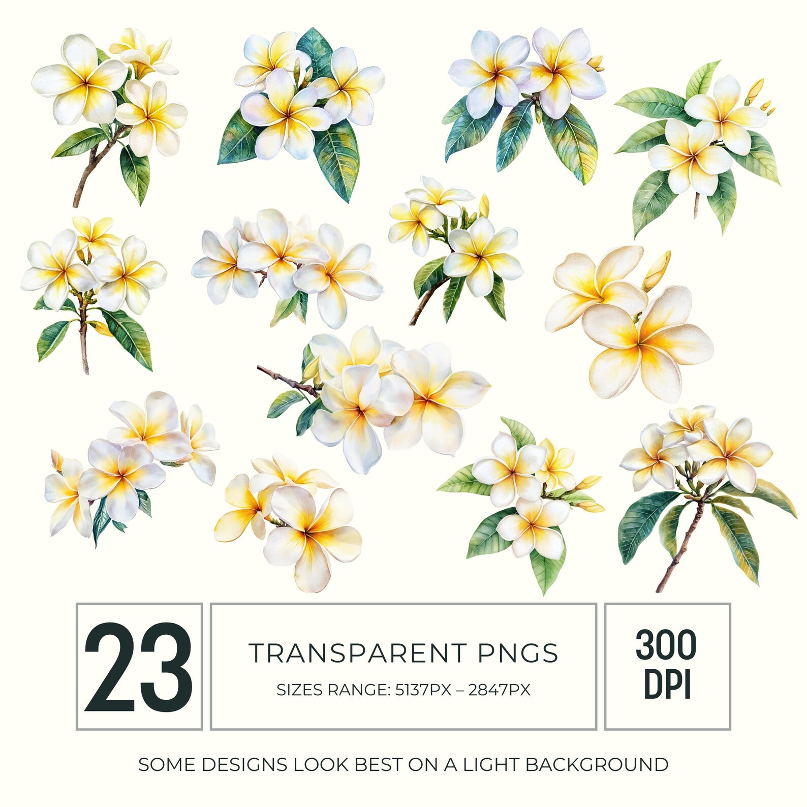 Frangipani Clipart, Tropical Flowers, Garden Clipart, Plumeria Flower ...