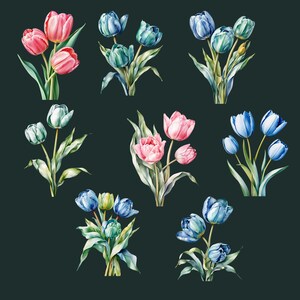 Colorful Spring Tulip Clip Art Bundle, Watercolor Flower Illustration ...