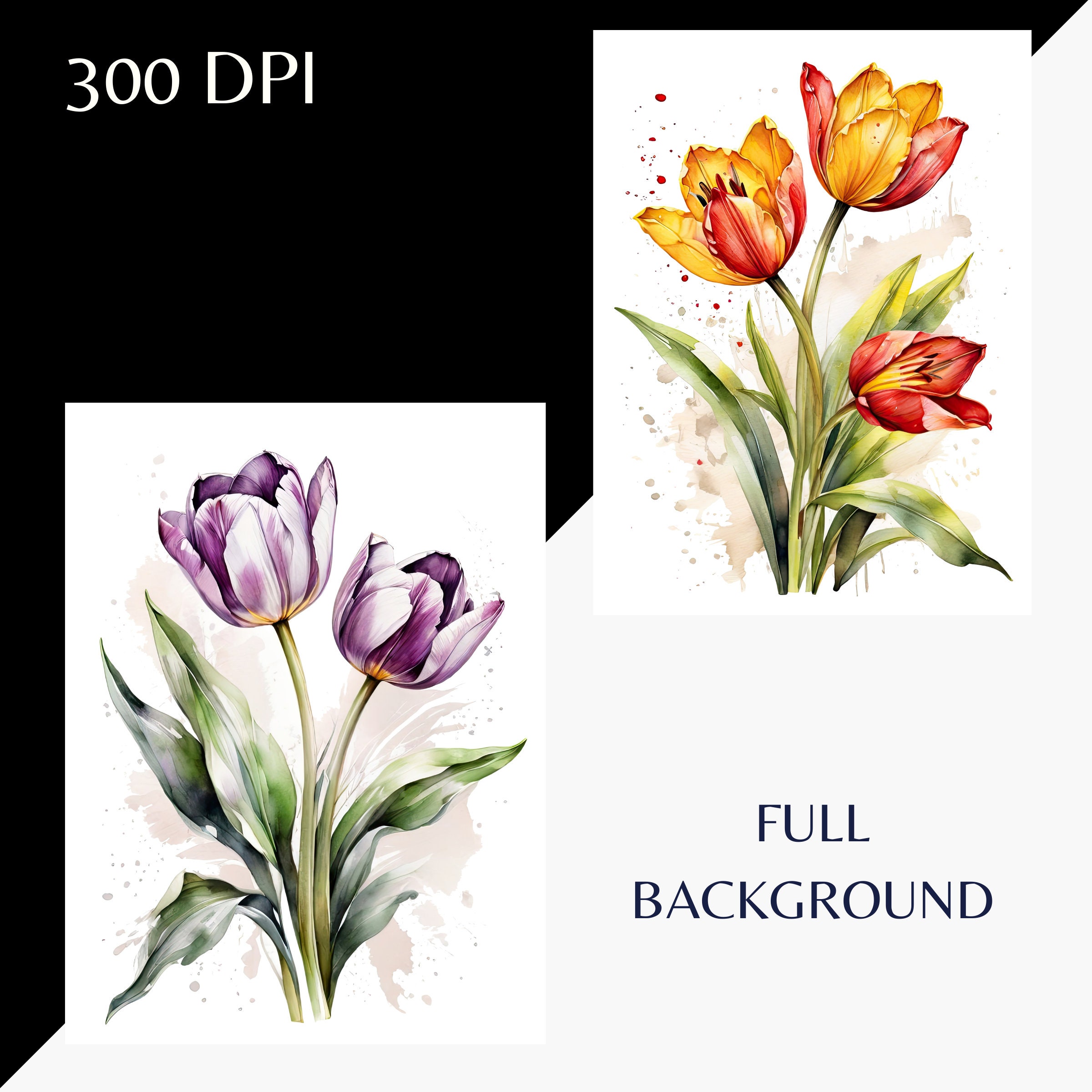 Mixed Tulips Clipart, Spring Flower Clip Art, Instant Download ...
