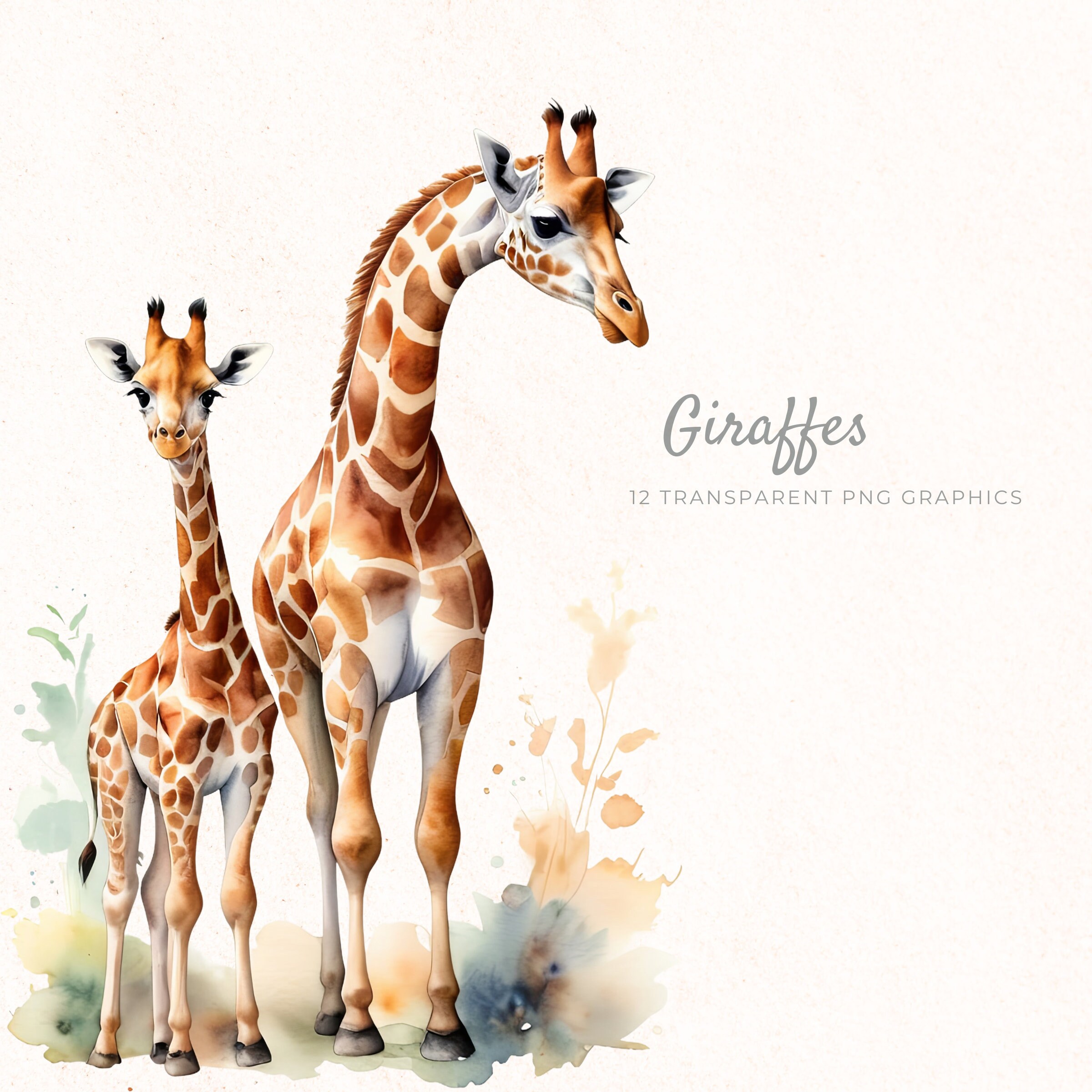 Giraffe Clipart Set, Watercolor Safari Graphics, Instant Download PNG ...