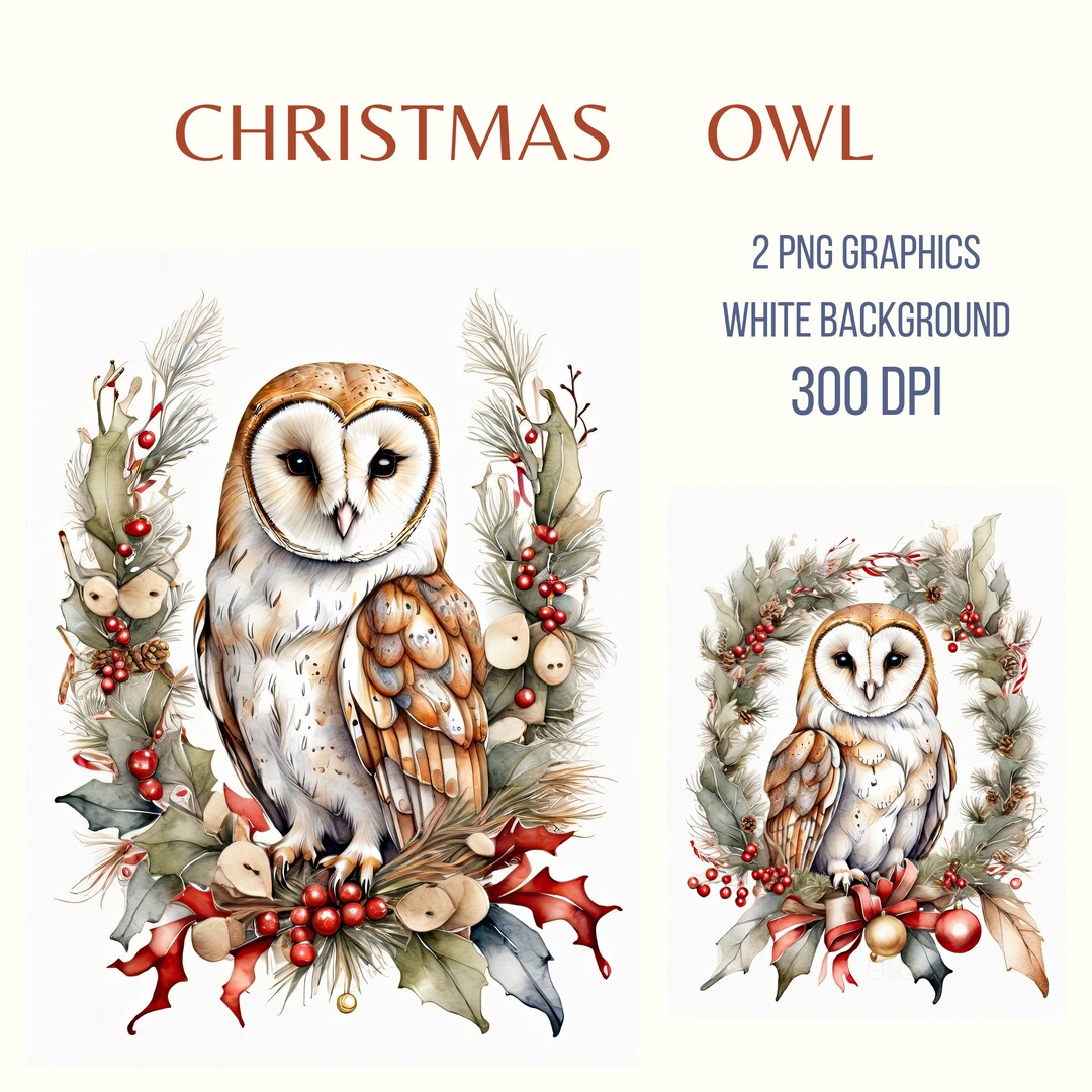 Holiday Owl Clipart Barn Owl Illustrations Christmas Images - Etsy