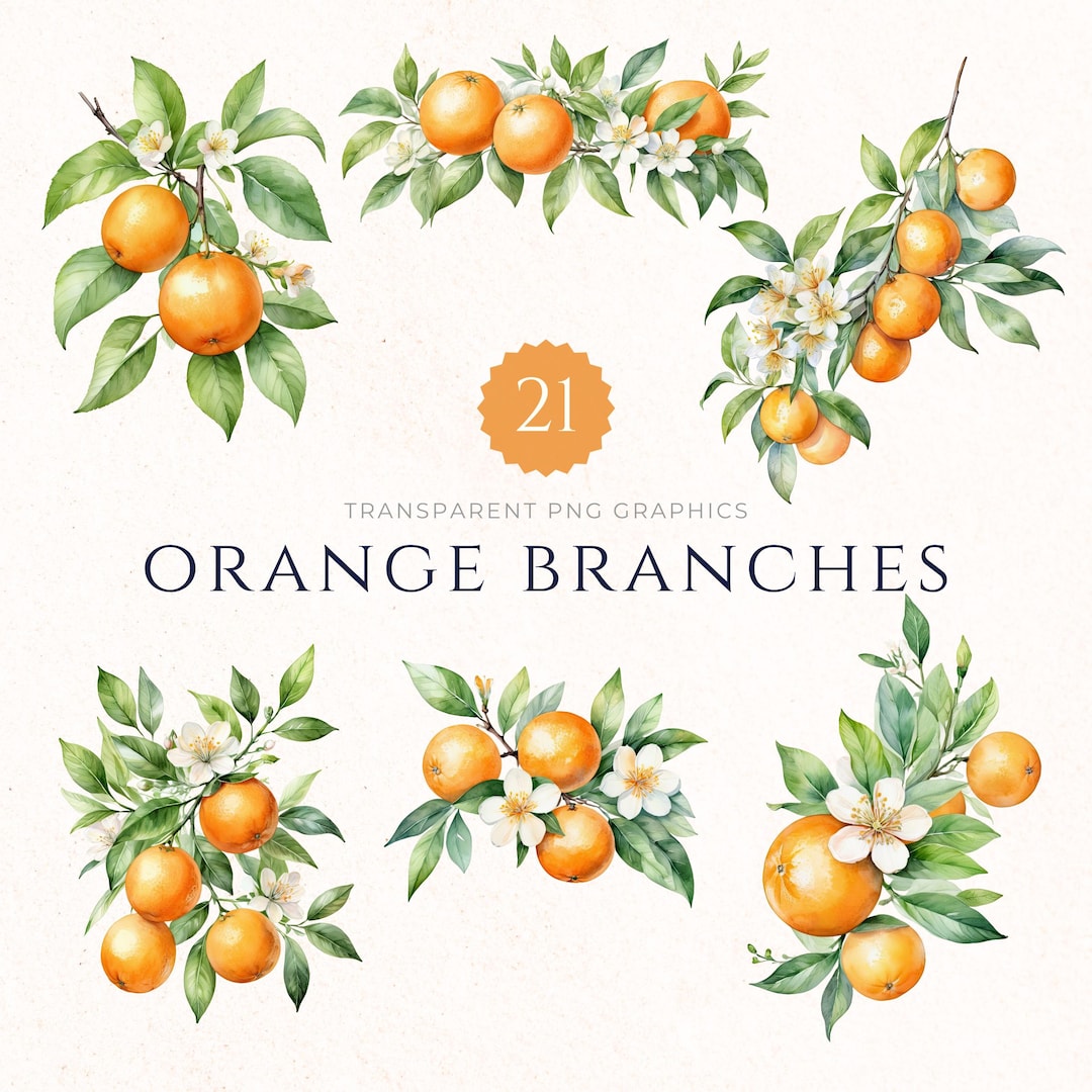 Orange Branch Watercolor Clipart, Citrus Digital Download, Summer ...