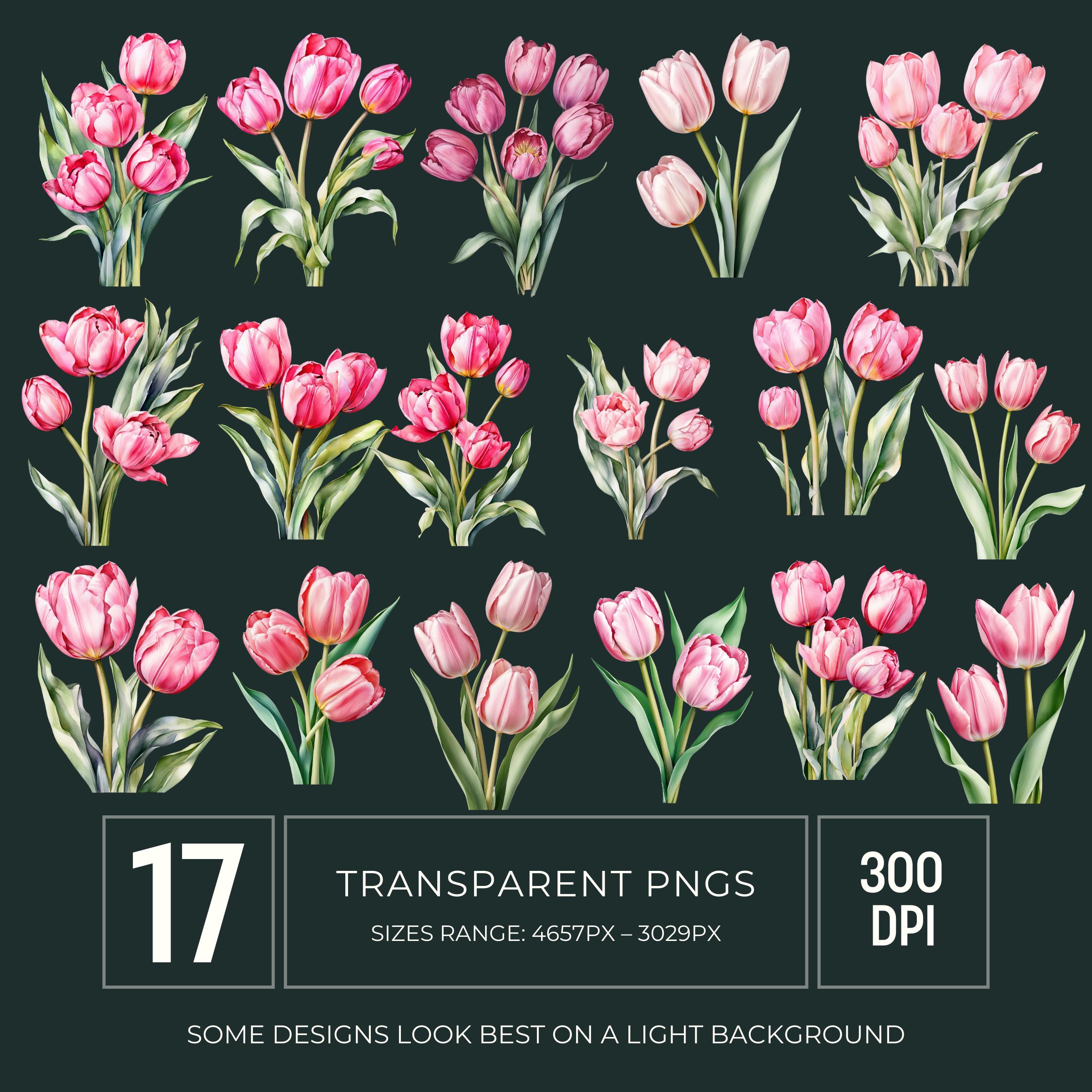 Pink Tulip Watercolor Clipart PNG, Spring Flower Bouquet Graphics for ...
