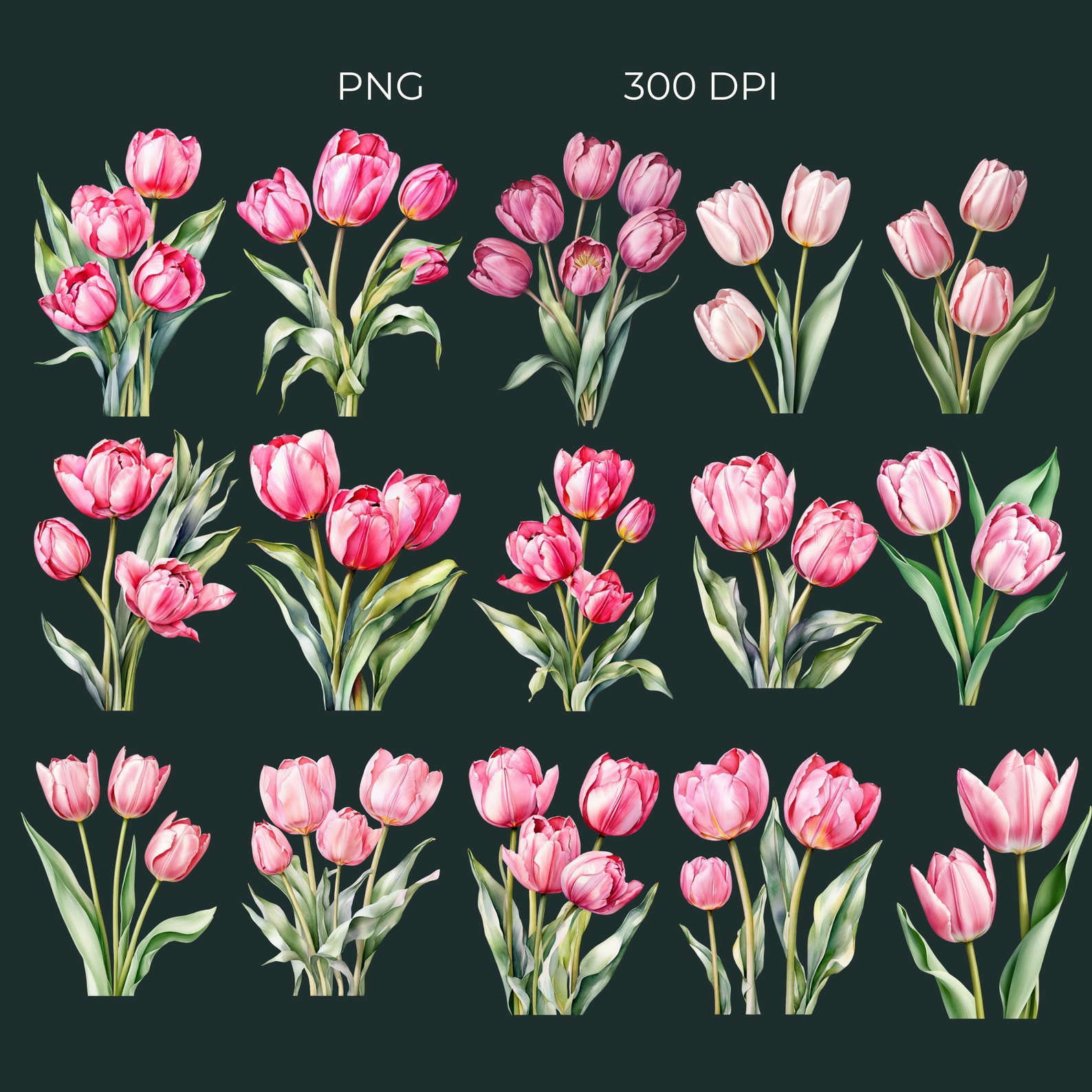 Colorful Spring Tulip Clip Art Bundle, Watercolor Flower Illustration ...